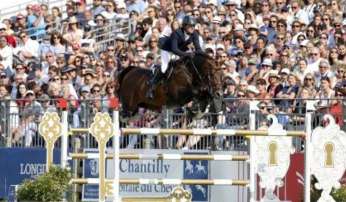 Waterford man helps Irish equestrian team to qualify for Tokyo Olympics ...