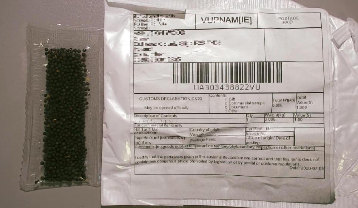 'Very serious' - Irish people receive random seeds from outside EU in ...