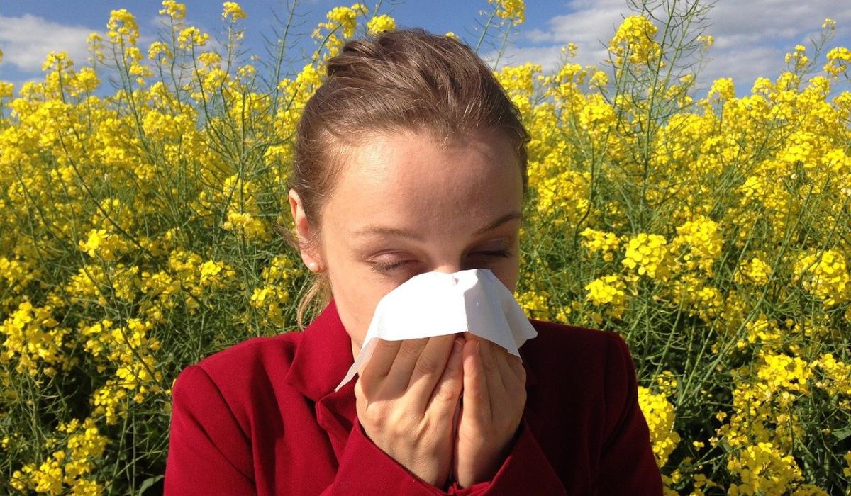 Hay Fever season is here! Use these top tips to survive the months ...