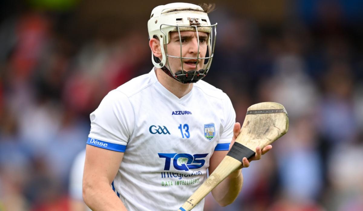 One Waterford player included in All-Star hurling nominations ...