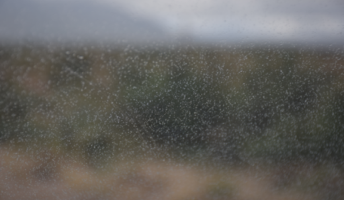 WATERFORD WEATHER: Long dry spells with patchy drizzle - Waterford Live