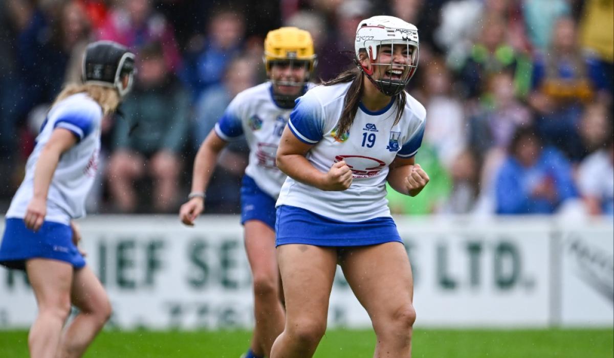 All-Ireland Fever: Waterford Camogie sets the stage with supporters ...