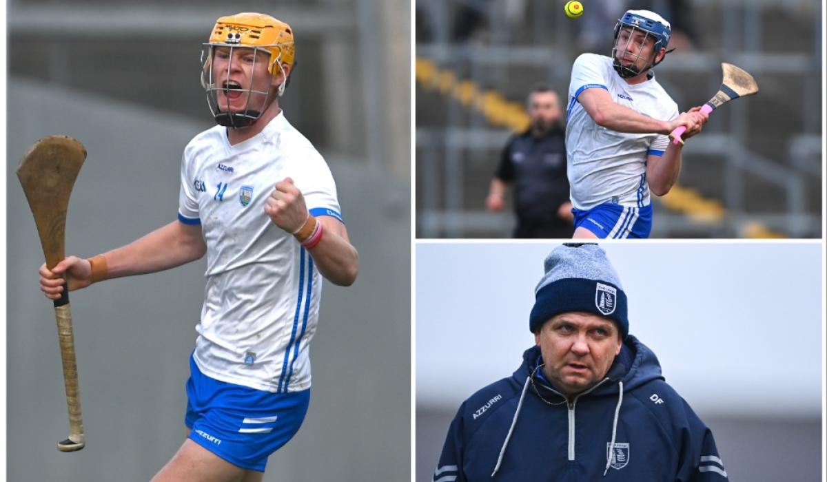 PICTURES: Waterford hurlers see off Offaly in opening game of Allianz ...