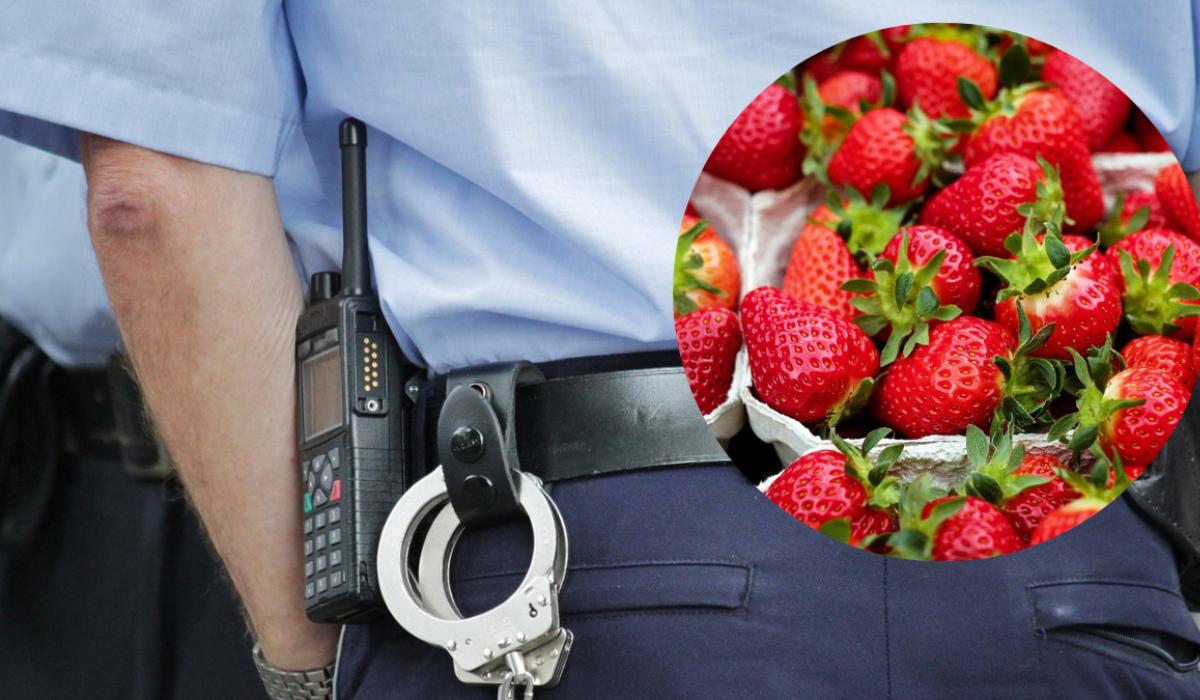 Waterford strawberry seller robbed by two teenage boys in daylight ...