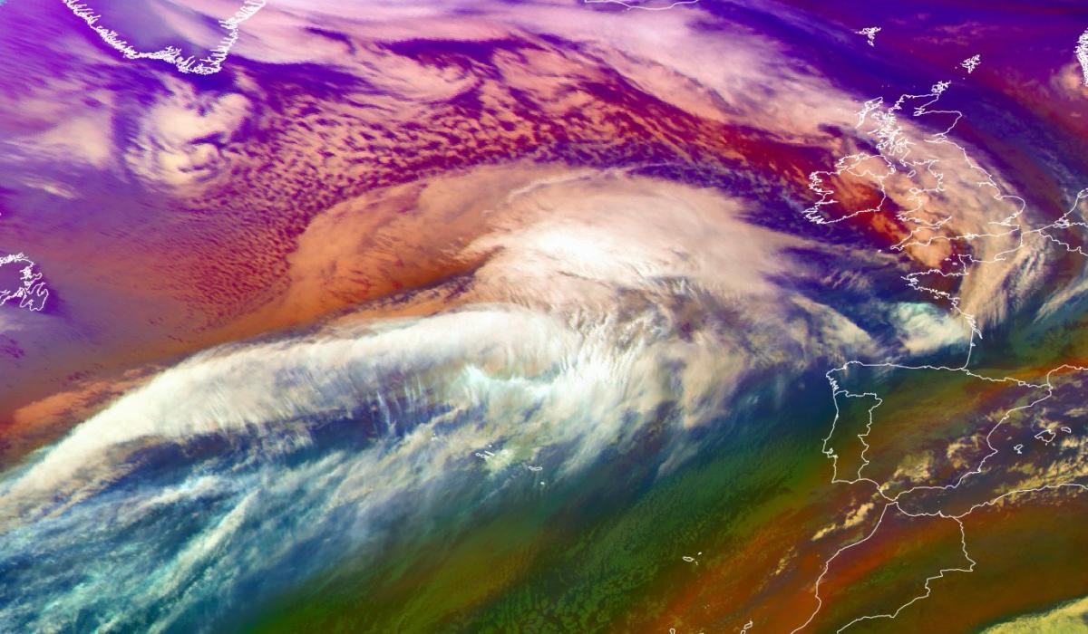 ALERT: Number of fallen trees in Waterford due to Storm Éowyn ...