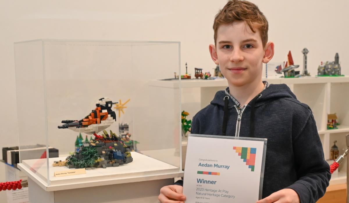 Waterford student wins big LEGO award for truly stunning creation ...
