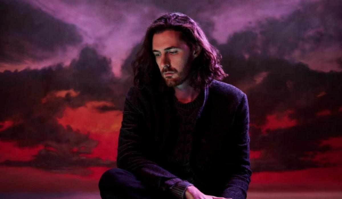 Hozier announces biggest ever Irish show at Marlay Park! - Waterford Live