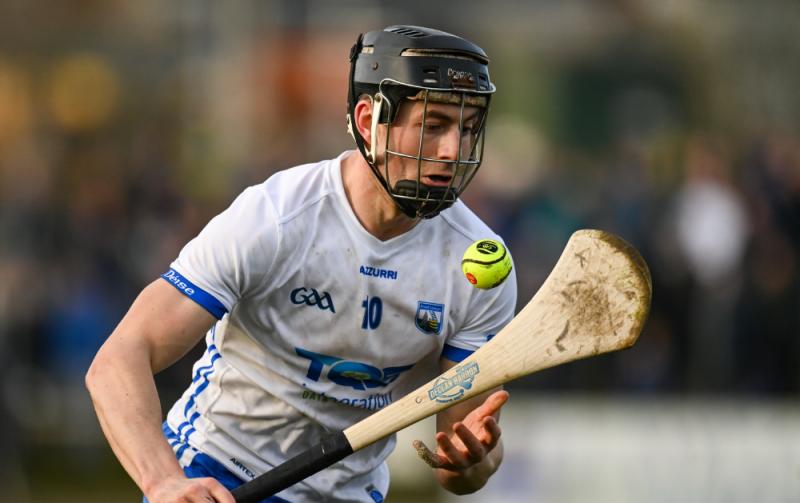 Waterford hurler included in GAA's Team of the Week - Waterford Live