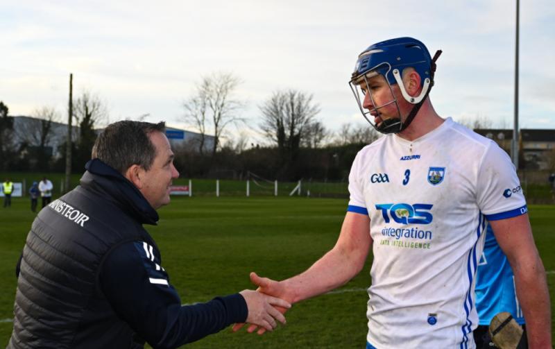 Waterford hurlers named on GAA Team of the Week - Waterford Live