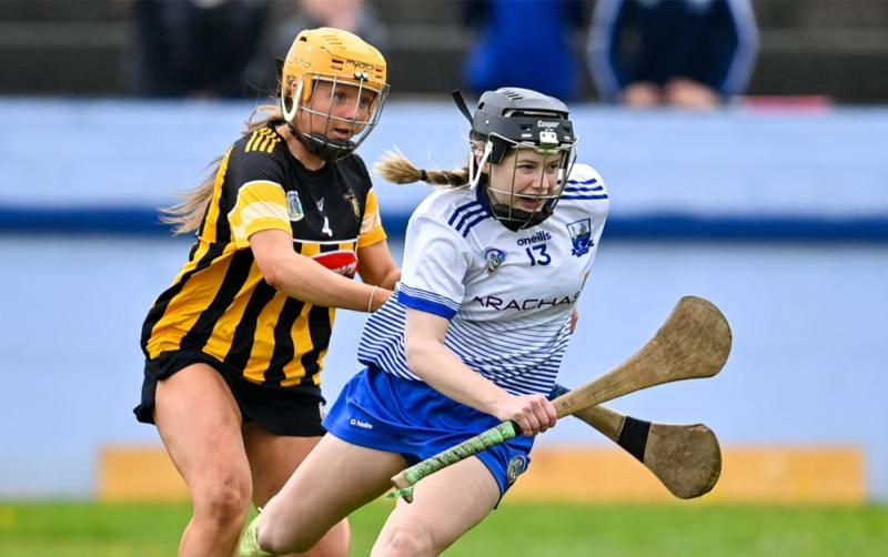 Waterford players named on Minor Championship Team of the Year ...