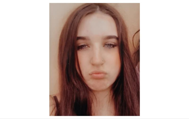 Gardaí search amid urgent appeal for missing 17-year-old girl - Waterford Live