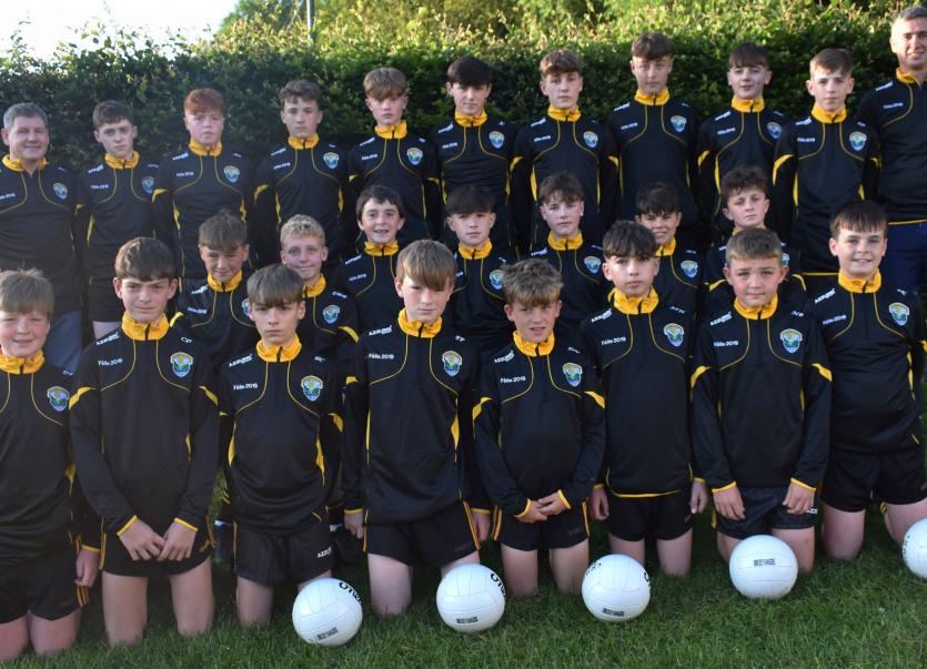 Funding boost for Waterford GAA club despite competition cancellation ...